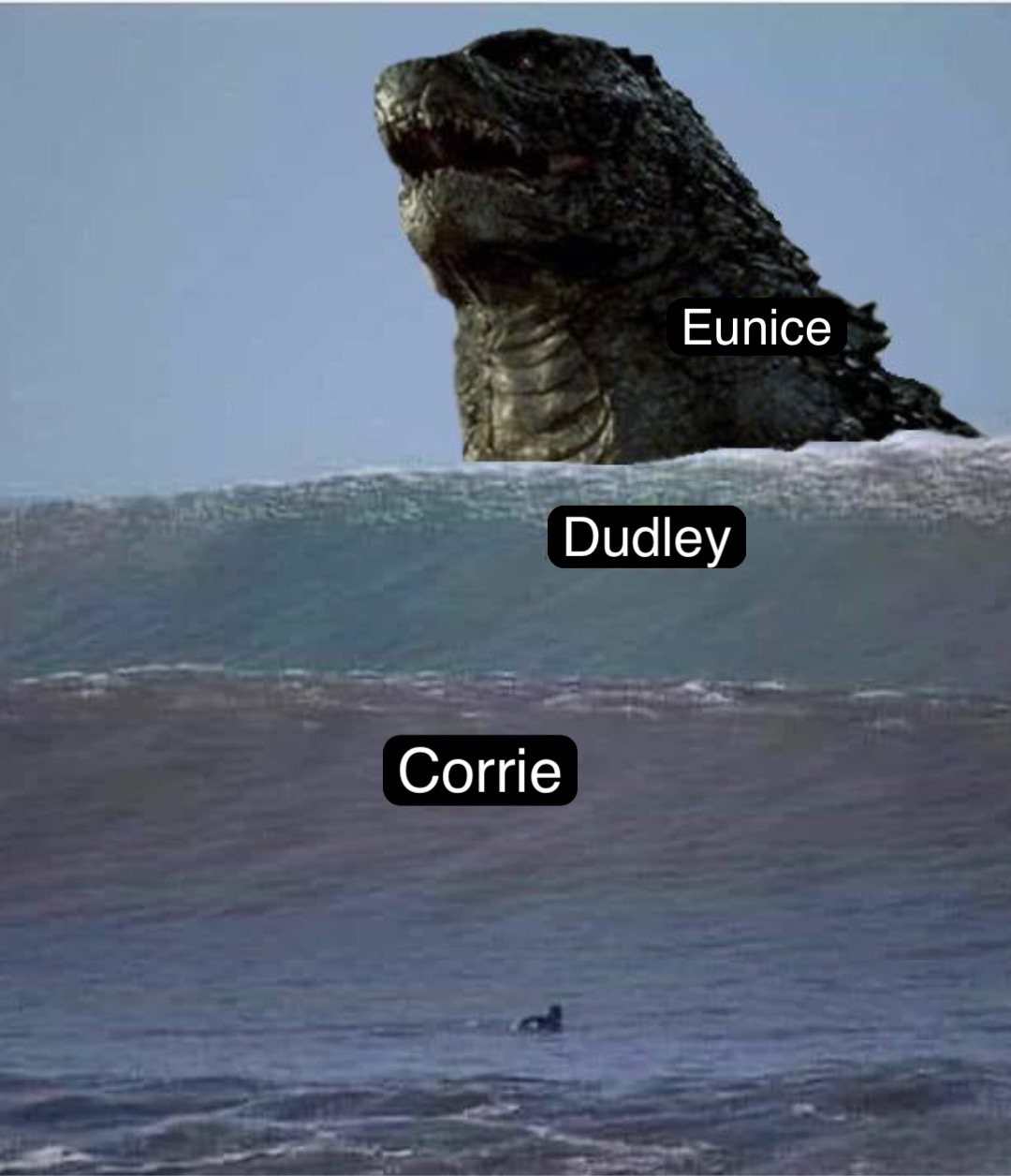 DUMPERT - Corrie Dudley Eunice