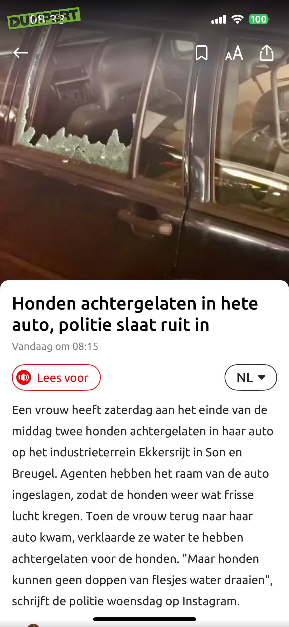 DUMPERT - Vrouw is dom