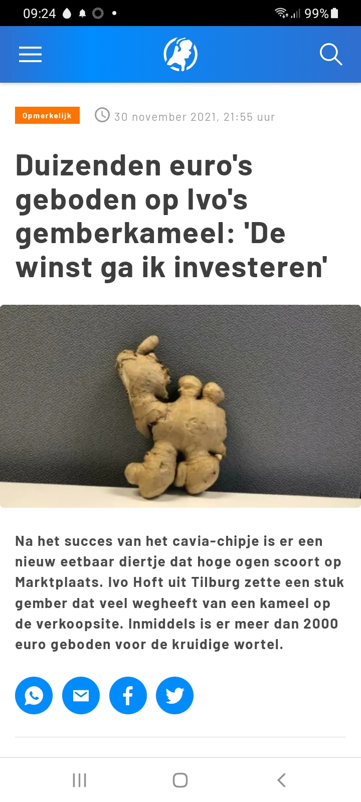 DUMPERT - Golden Ginger