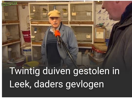 DUMPERT - Waar zijn de daders?