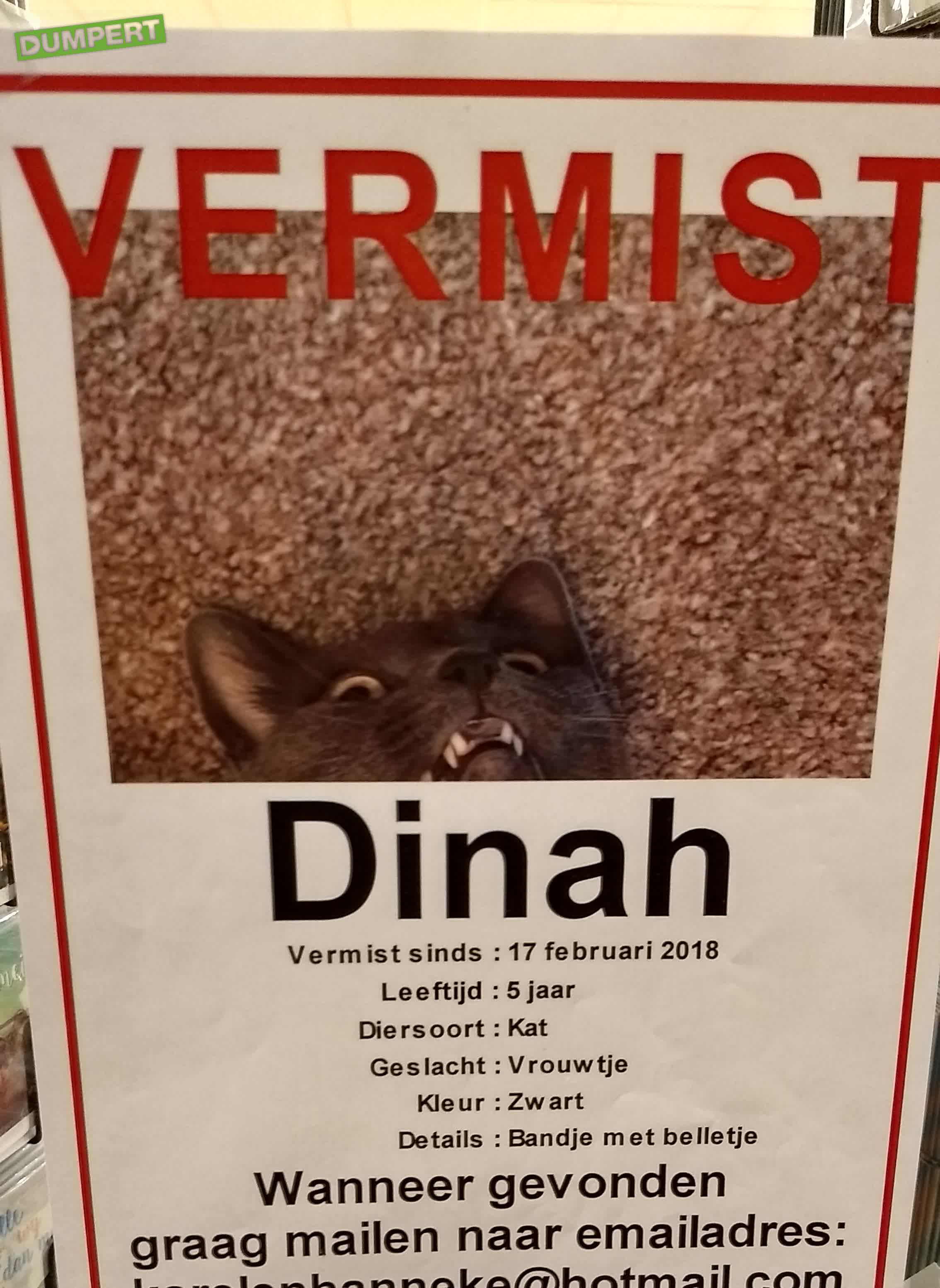 DUMPERT - Kat vermist