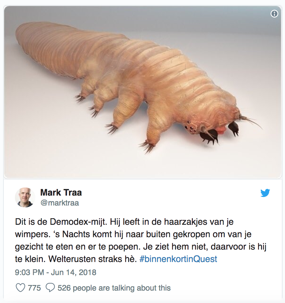 DUMPERT - Mark deelt een weetje