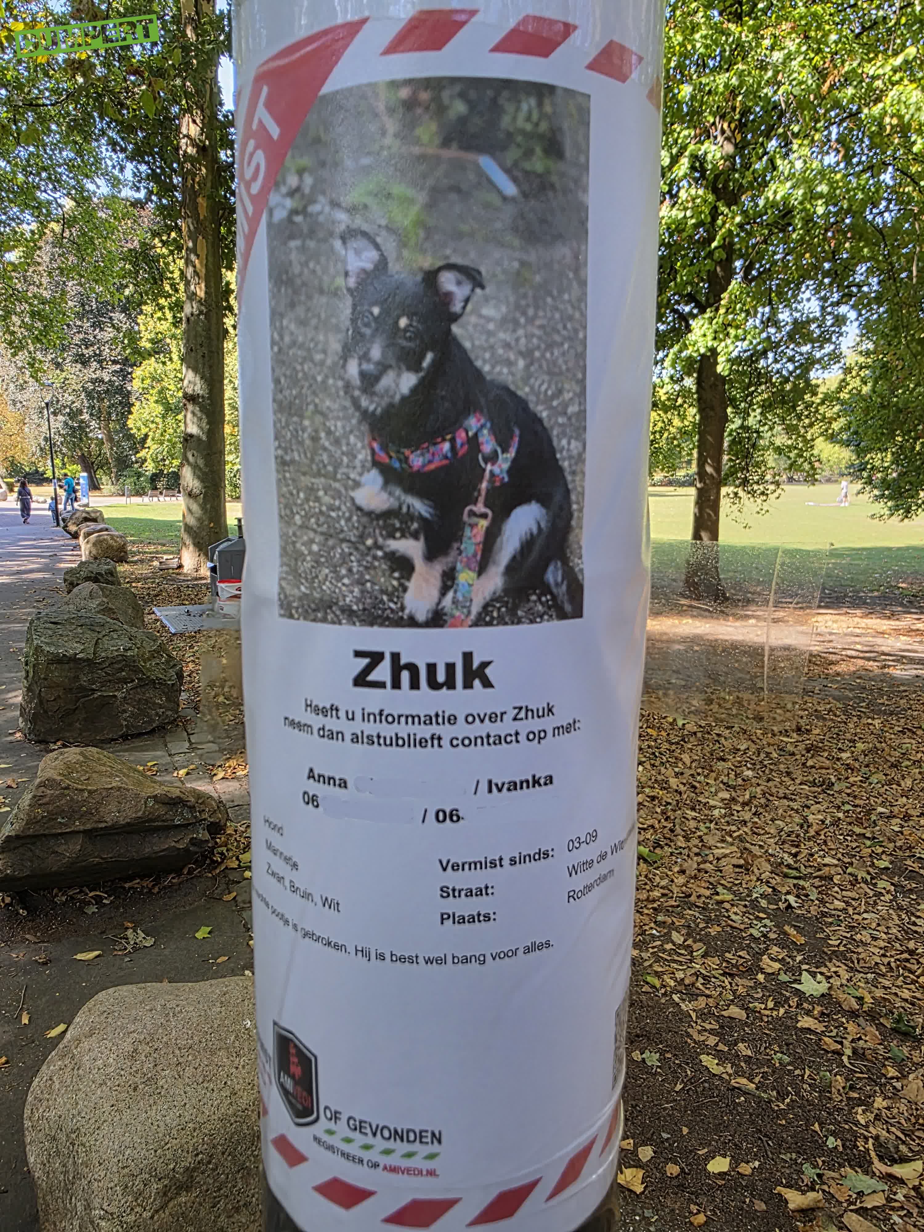 DUMPERT - Hond is Zhuk