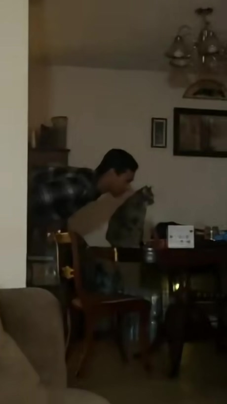 DUMPERT - HALLO POES