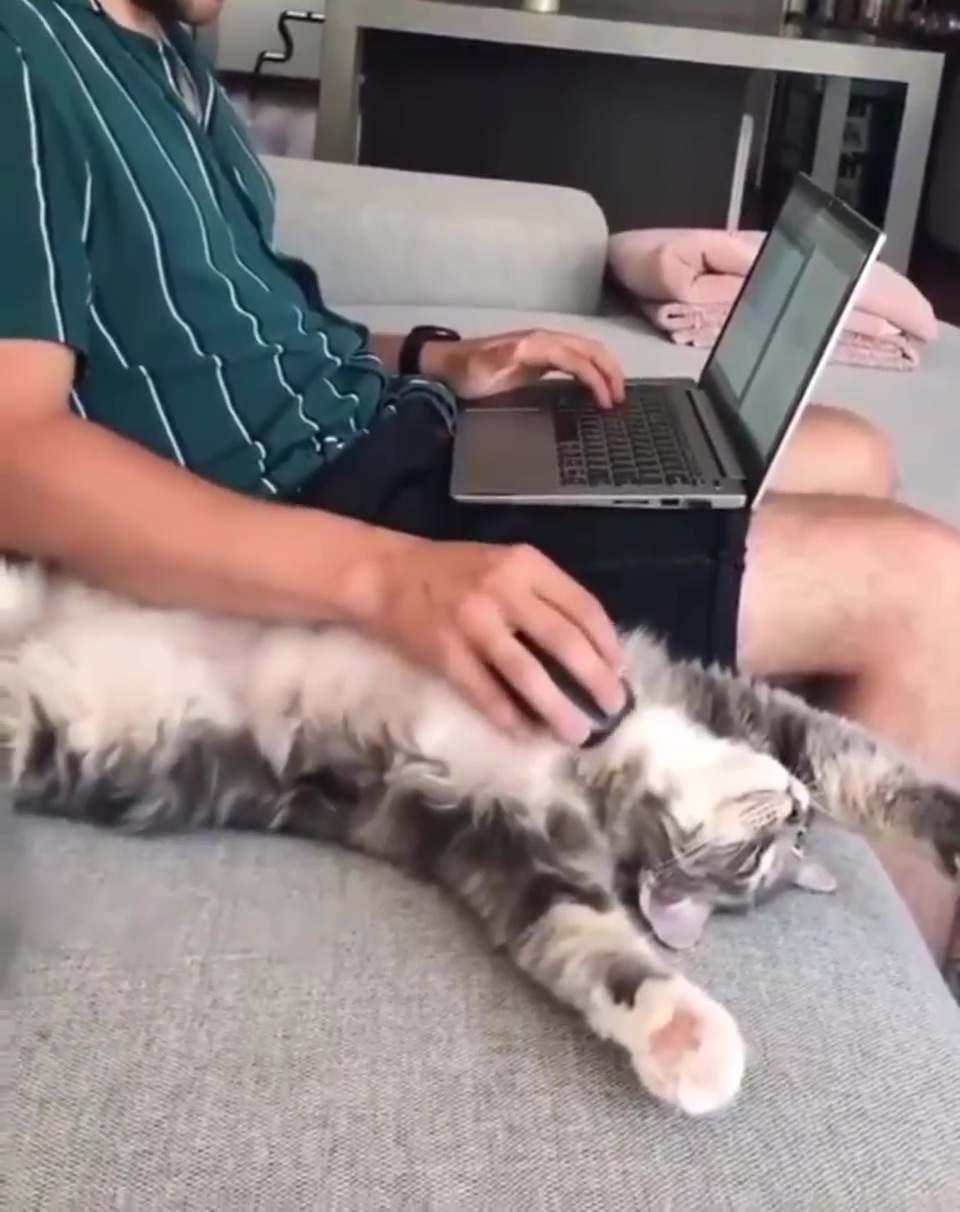 DUMPERT - Handige muismat