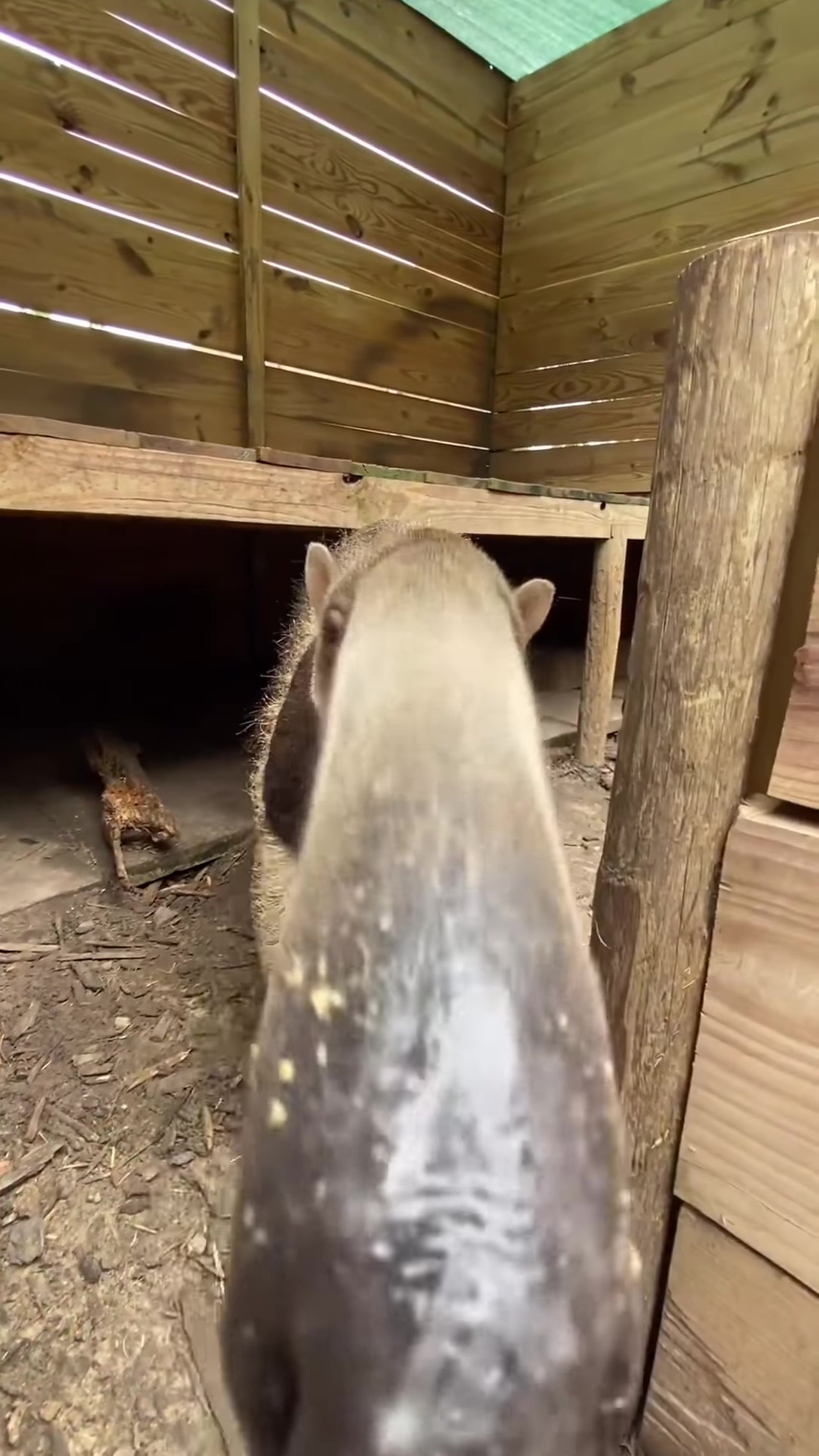 DUMPERT - Ff snuffelen