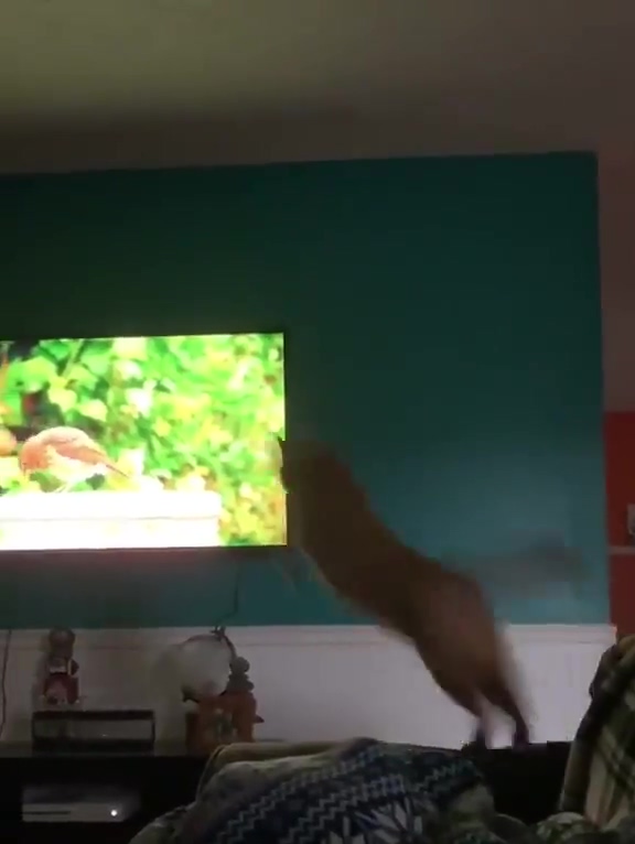 DUMPERT - Tijd voor een snack