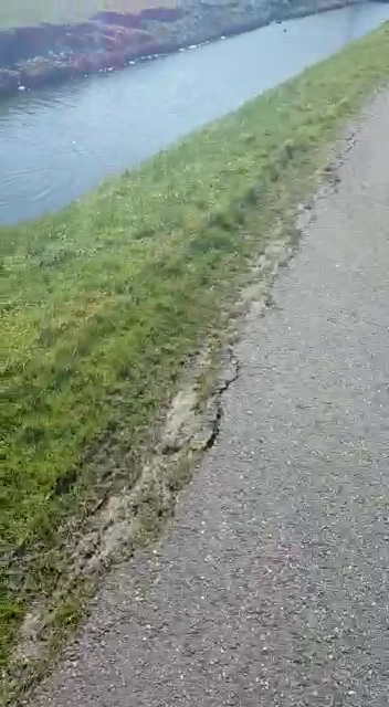 DUMPERT - Chauffeur redt lammetje uit sloot