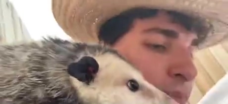 DUMPERT - Oh hello, Goodbye!