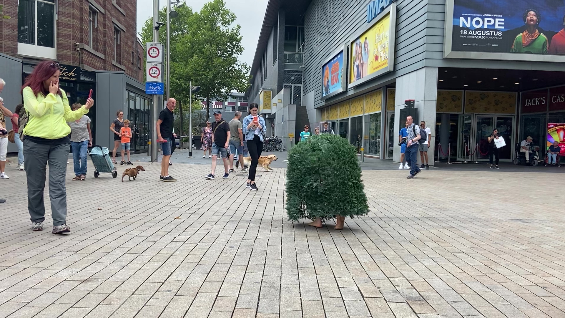 DUMPERT - Bosjesman en takkewijf