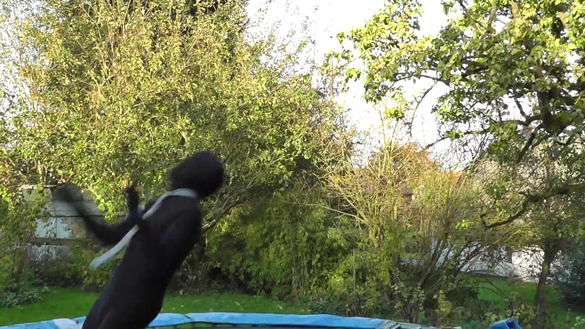 DUMPERT - Backflip faal