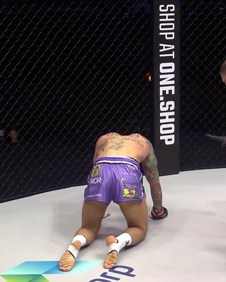 DUMPERT - MMA gevecht met wendingen