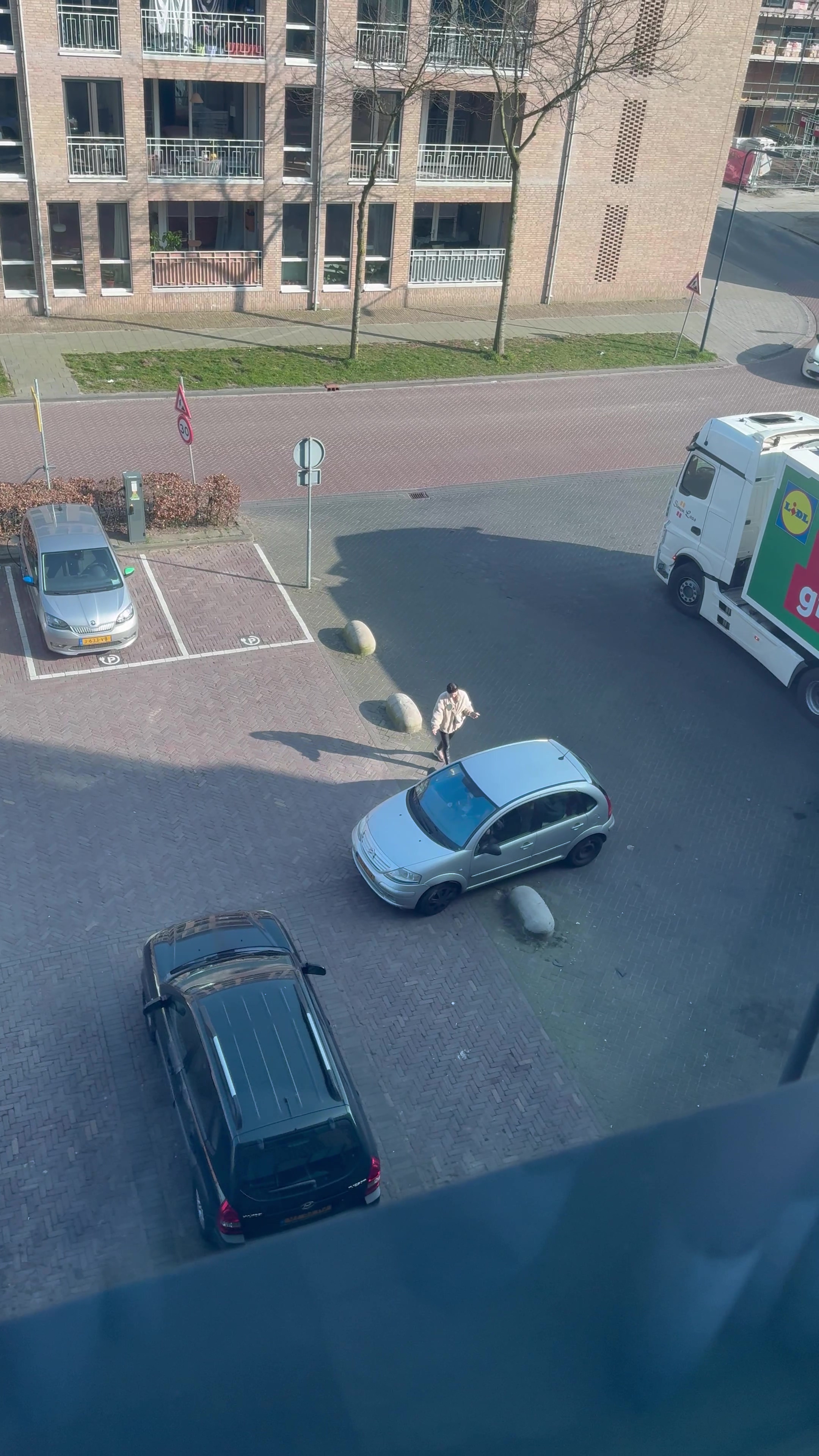 DUMPERT - Vrouw ziet betonnen varkensrug niet