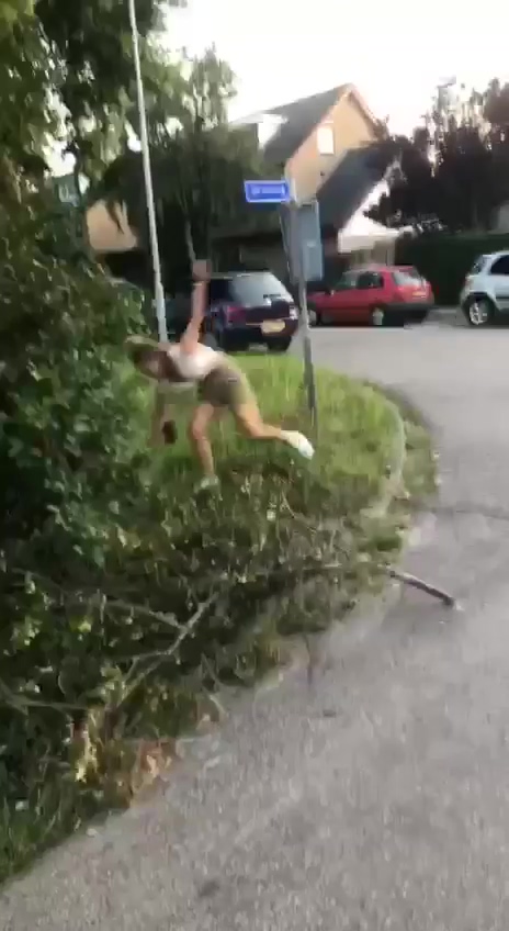 DUMPERT - Lam in de sloot