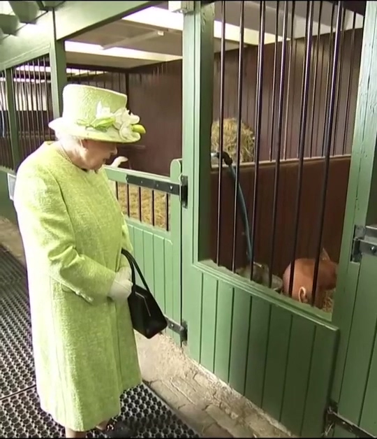 DUMPERT - Queen Elizabeth maakt het goed