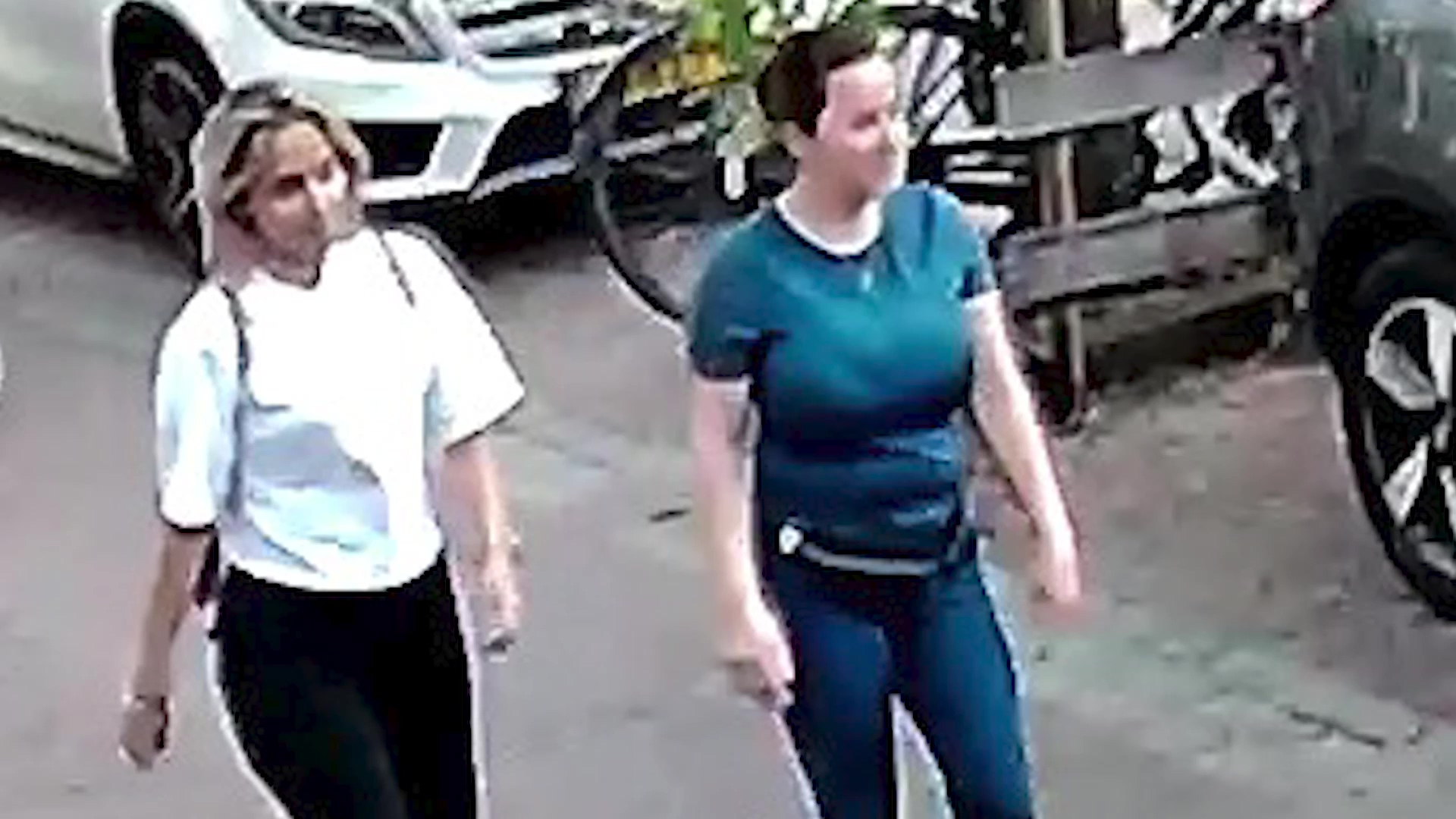 DUMPERT - Help mee zoeken: Lex op klaarlichte dag ontvoerd.