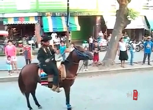 DUMPERT - Paard doet backflip