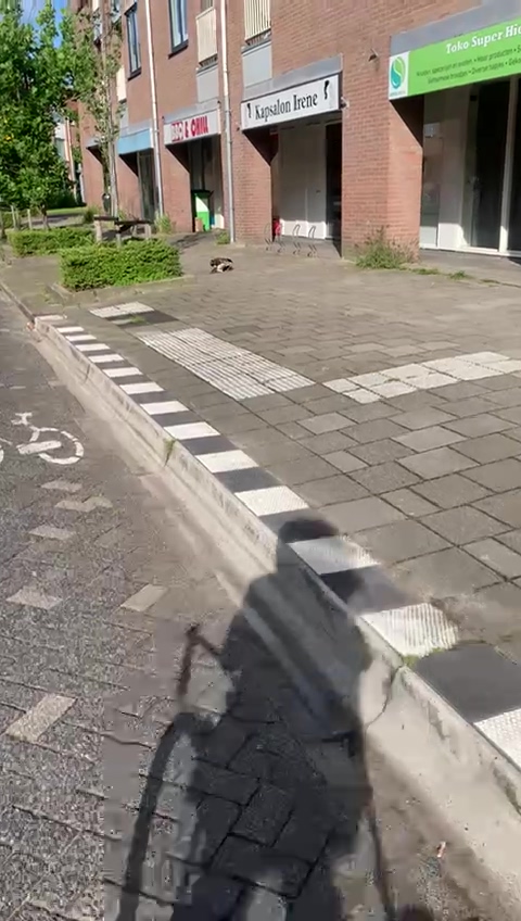 DUMPERT - Het is half negen in de ochtend