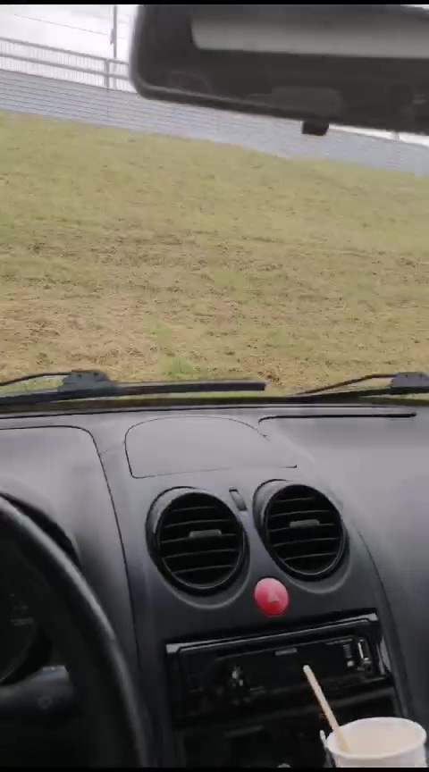 DUMPERT - Das pech Kat weg!