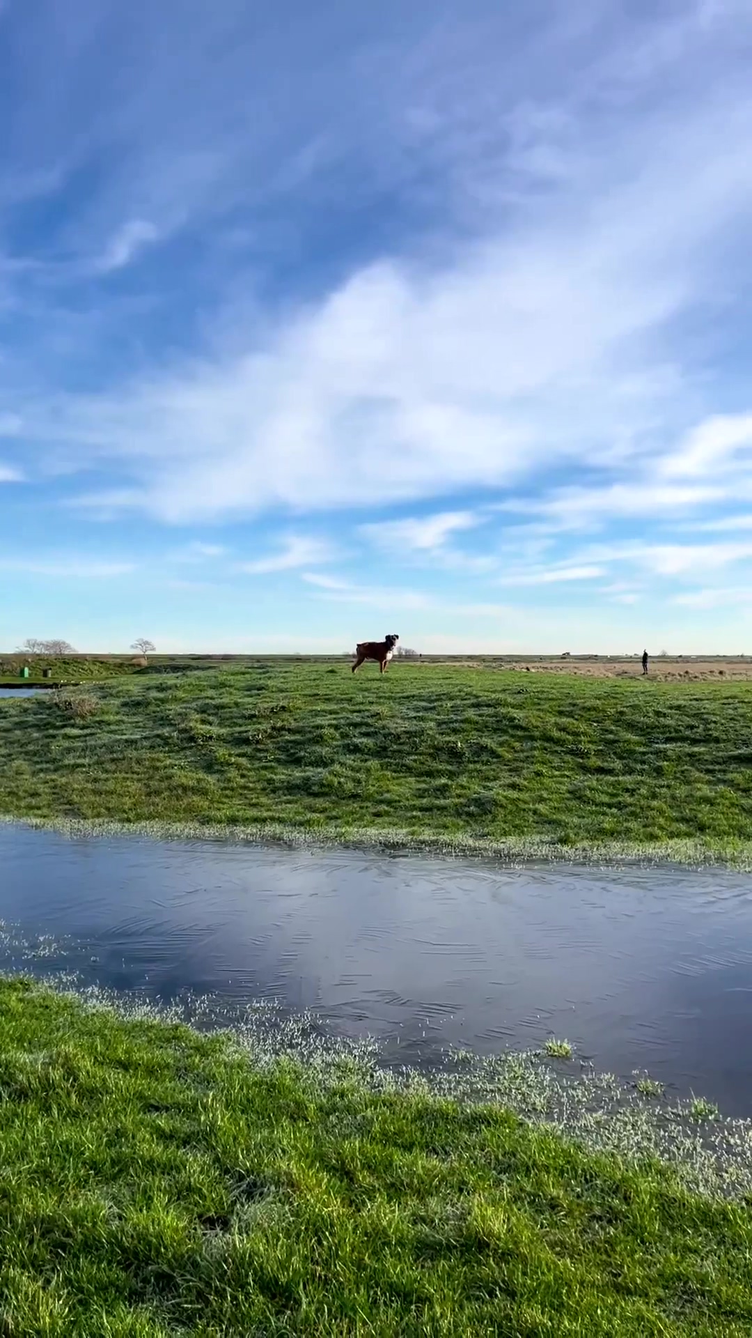 DUMPERT - Kom dan jochie!