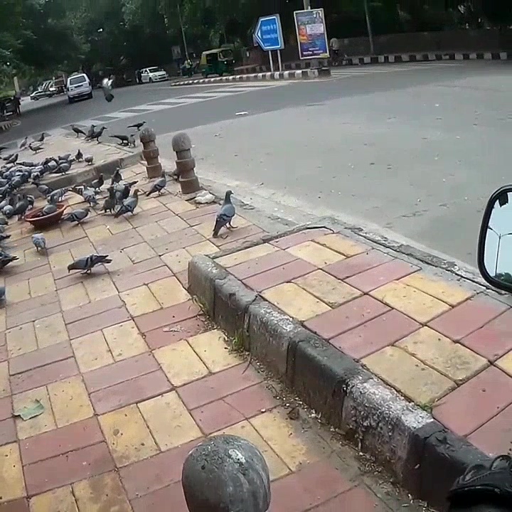 DUMPERT - Wil je magie zien?