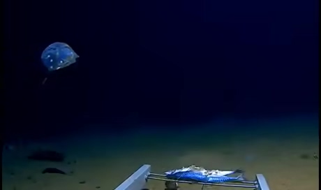 DUMPERT - Ja die diepe zee