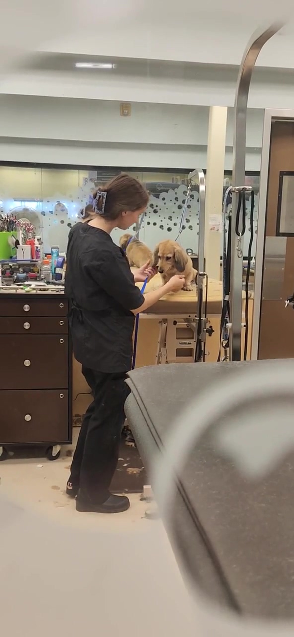 DUMPERT - Leuk zo’n kapper