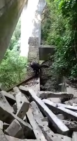 DUMPERT - Handige Harrie