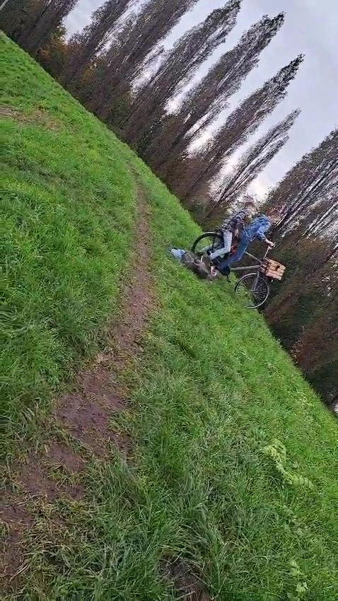 DUMPERT - Alles gaat weer fout hier