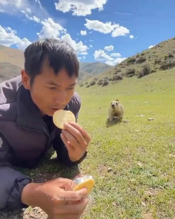 DUMPERT - Is dat een cracker?