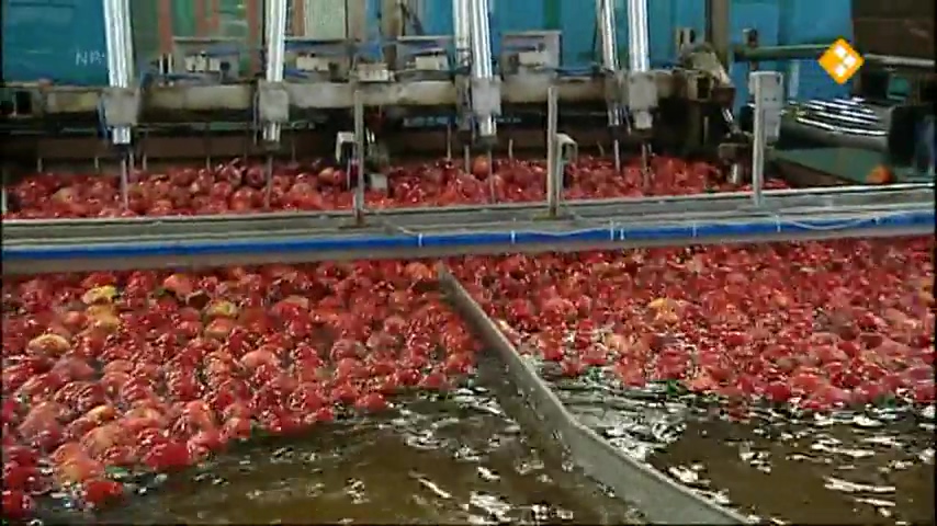 DUMPERT - Appels sorteren