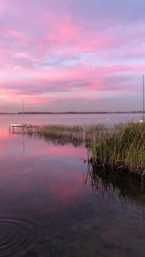 DUMPERT - Nederland is epic #7