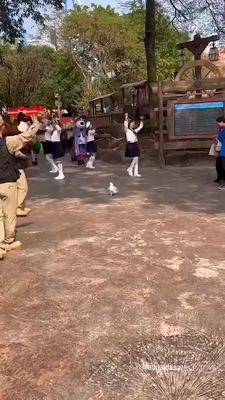 DUMPERT - Danst beter dan jij