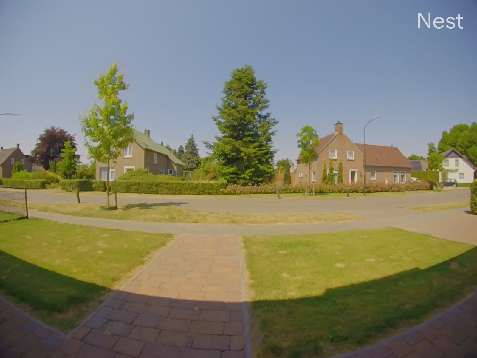 DUMPERT - Wat een rare hobbel in de weg