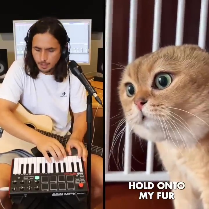 DUMPERT - Oh Long Johnson 2.0