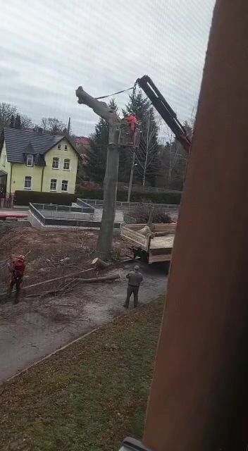 DUMPERT - Boom kappen