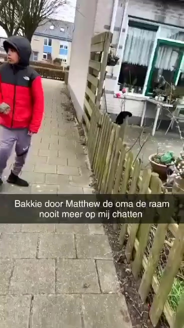 DUMPERT - Baksteen door de ruit