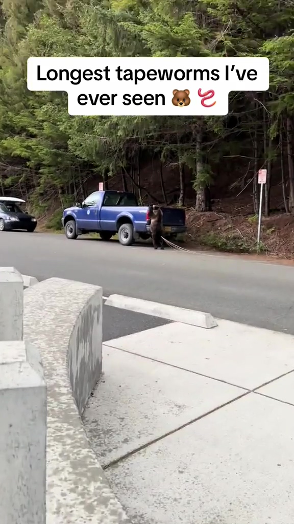 DUMPERT - Beer heeft een probleempje..