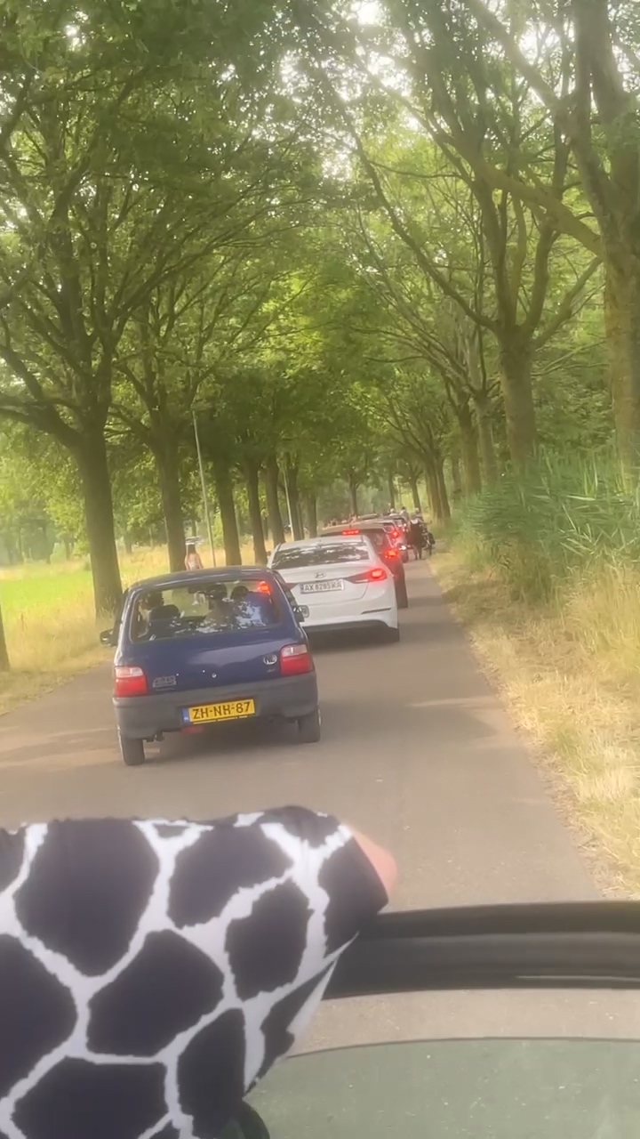 DUMPERT - Gevecht op straat