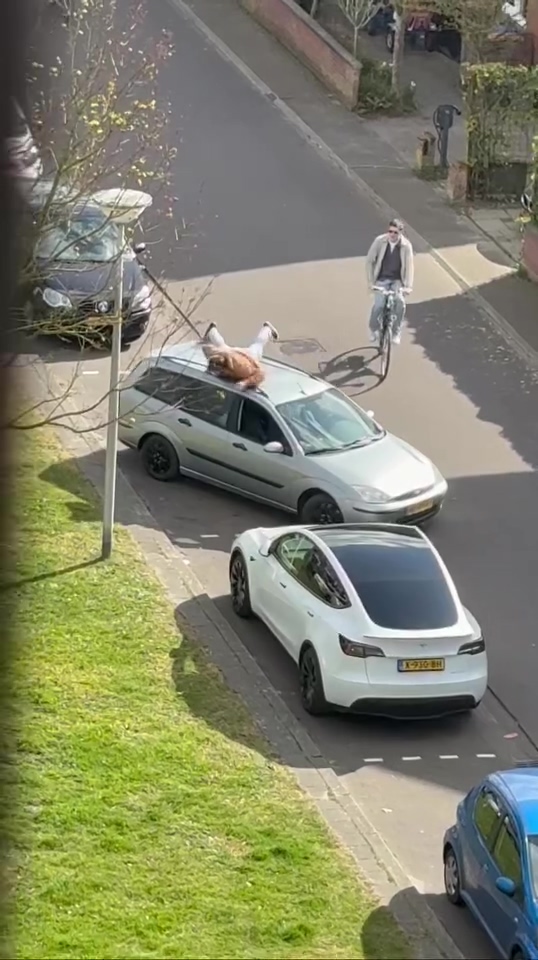 DUMPERT - Hulp bij het inparkeren