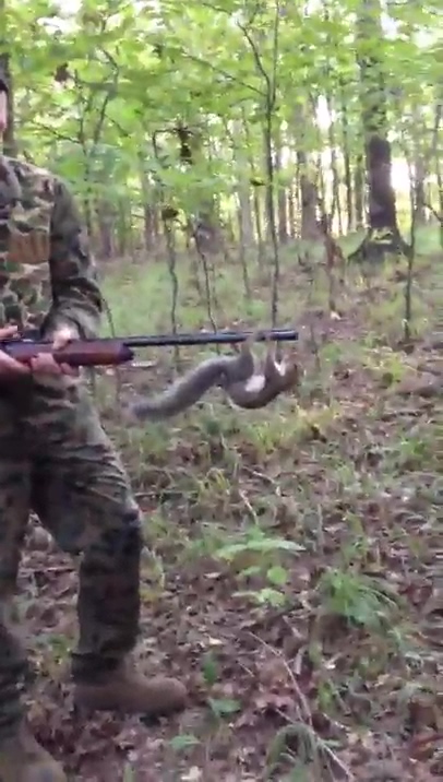 DUMPERT - Eekhoorn wil Darwin-award