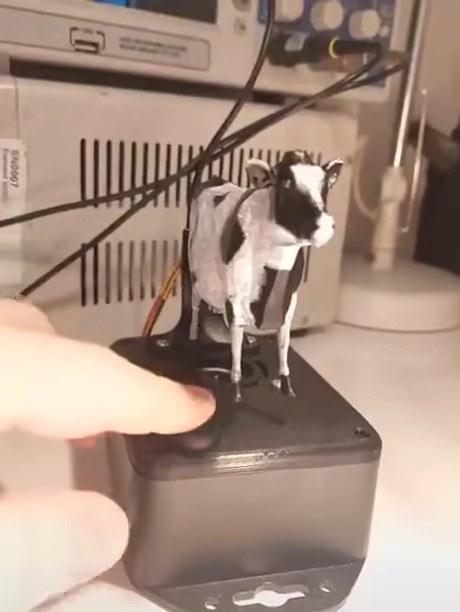 DUMPERT - Pools speelgoed