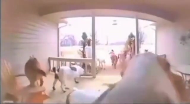 DUMPERT - Ff belletje lellen met de boys