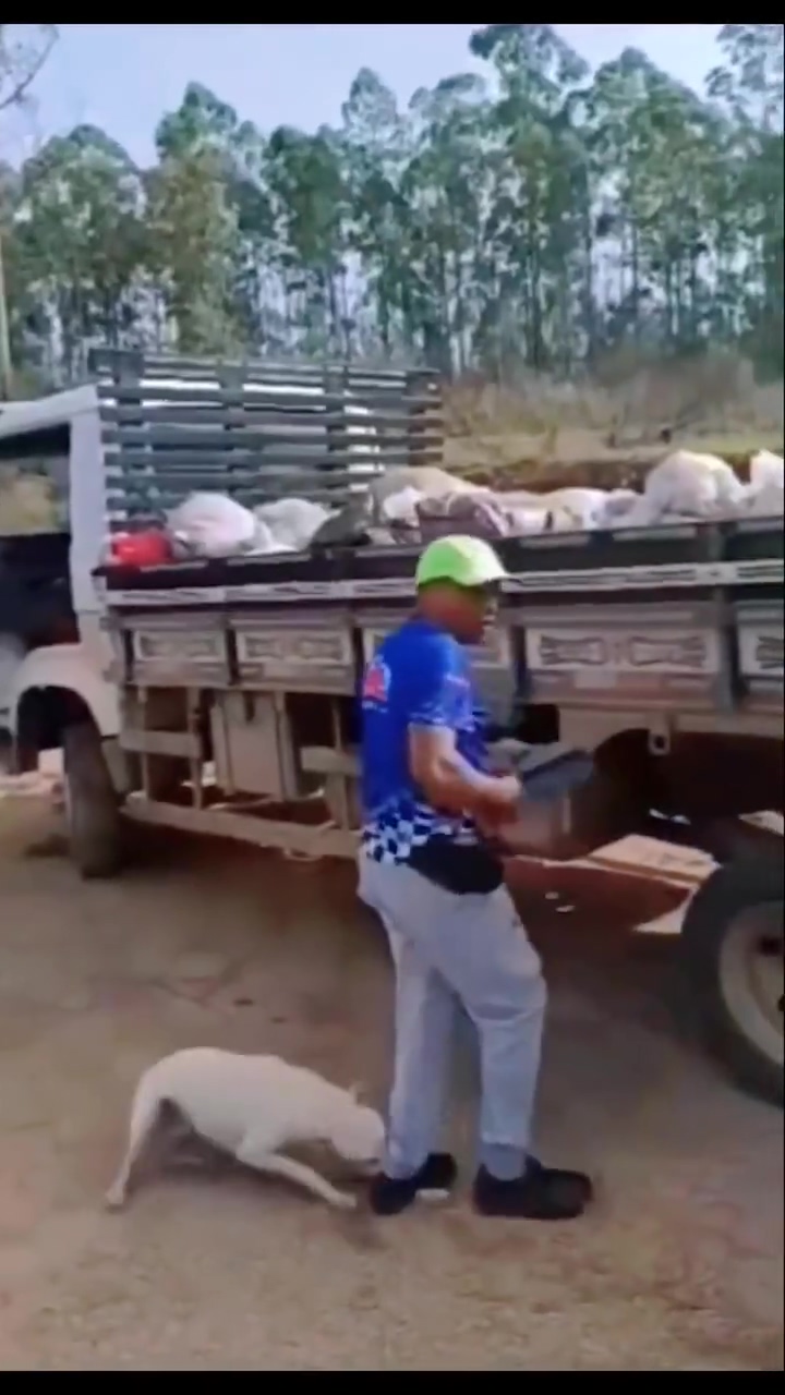 DUMPERT - Je dagelijkse fail compilatie