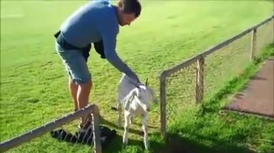 DUMPERT - Classic: Gary wordt gek