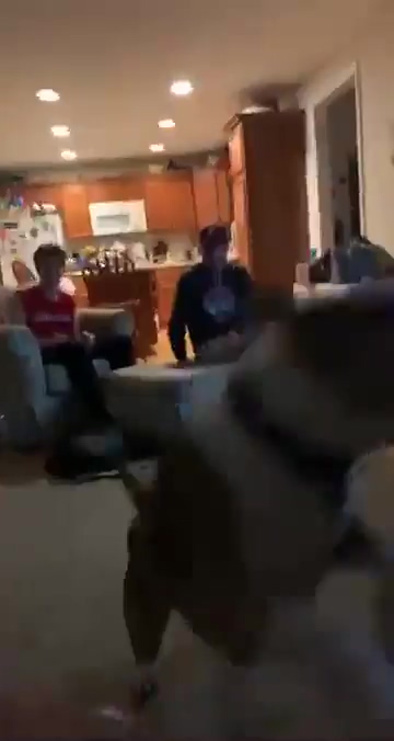 DUMPERT - Bello doe backflip!