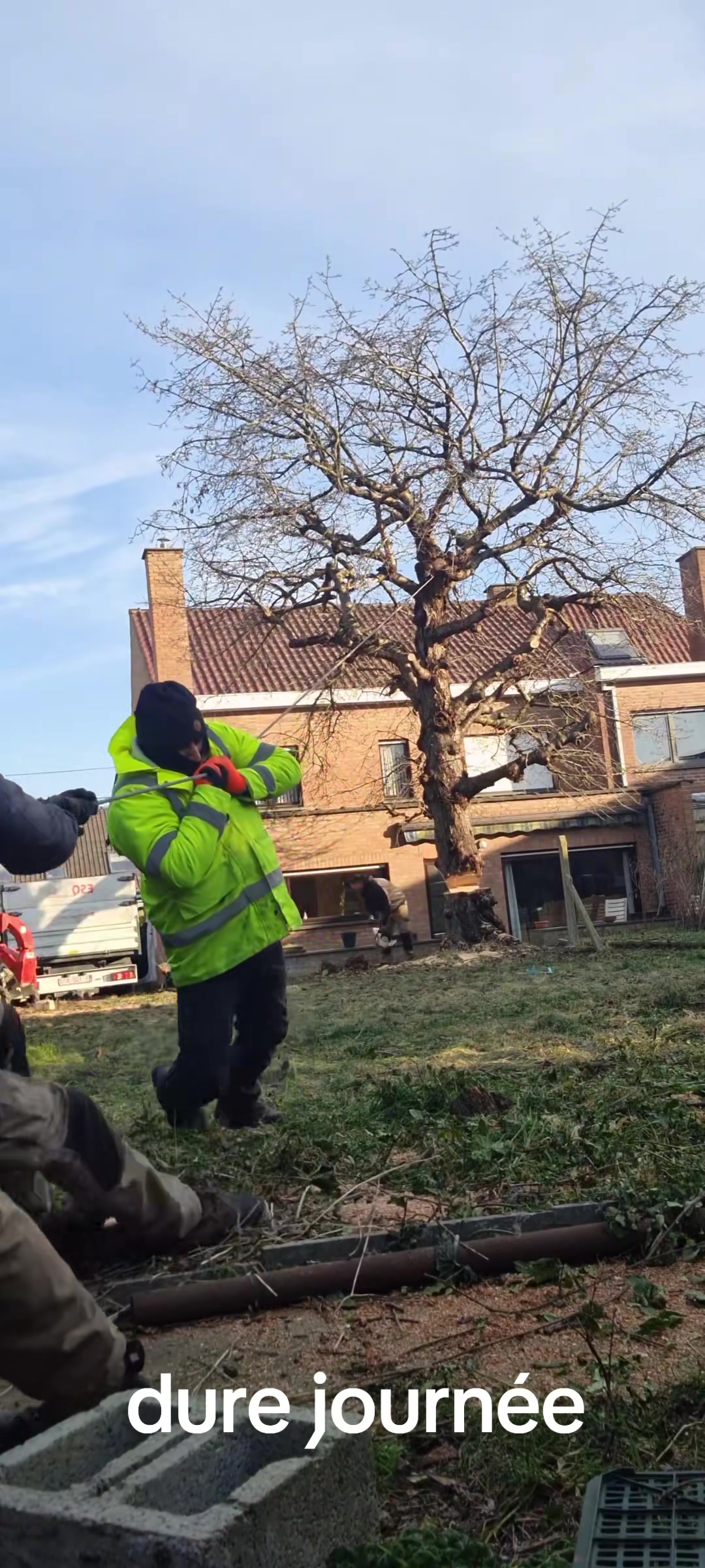 DUMPERT - Picobello BV boomzagen