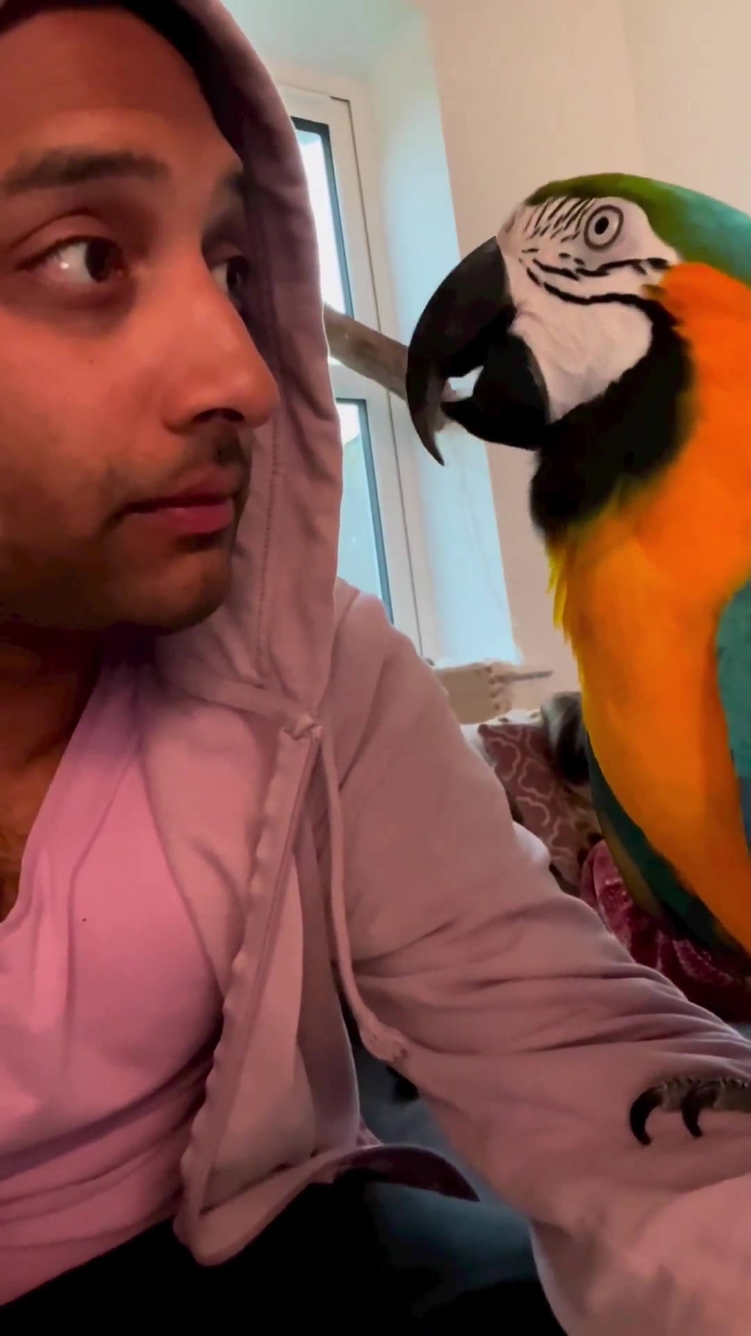 DUMPERT - Goed gesprek met je gevleugelde vrind