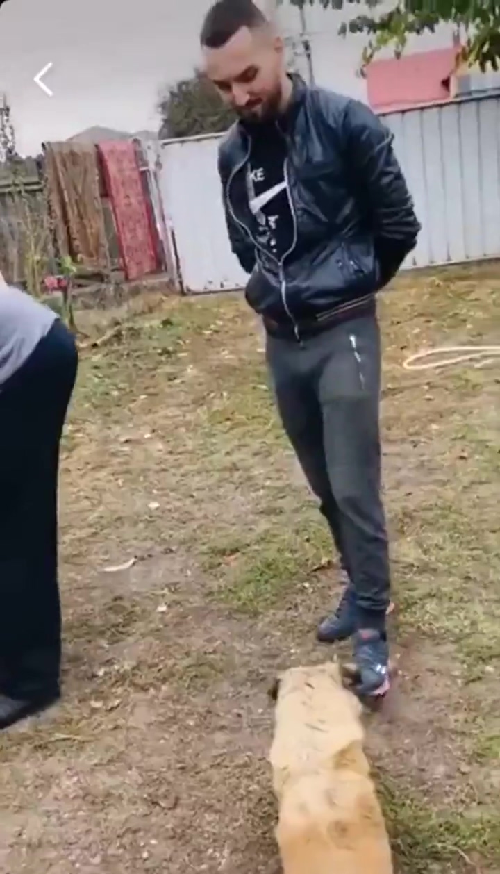 DUMPERT - Ff hondje pesten