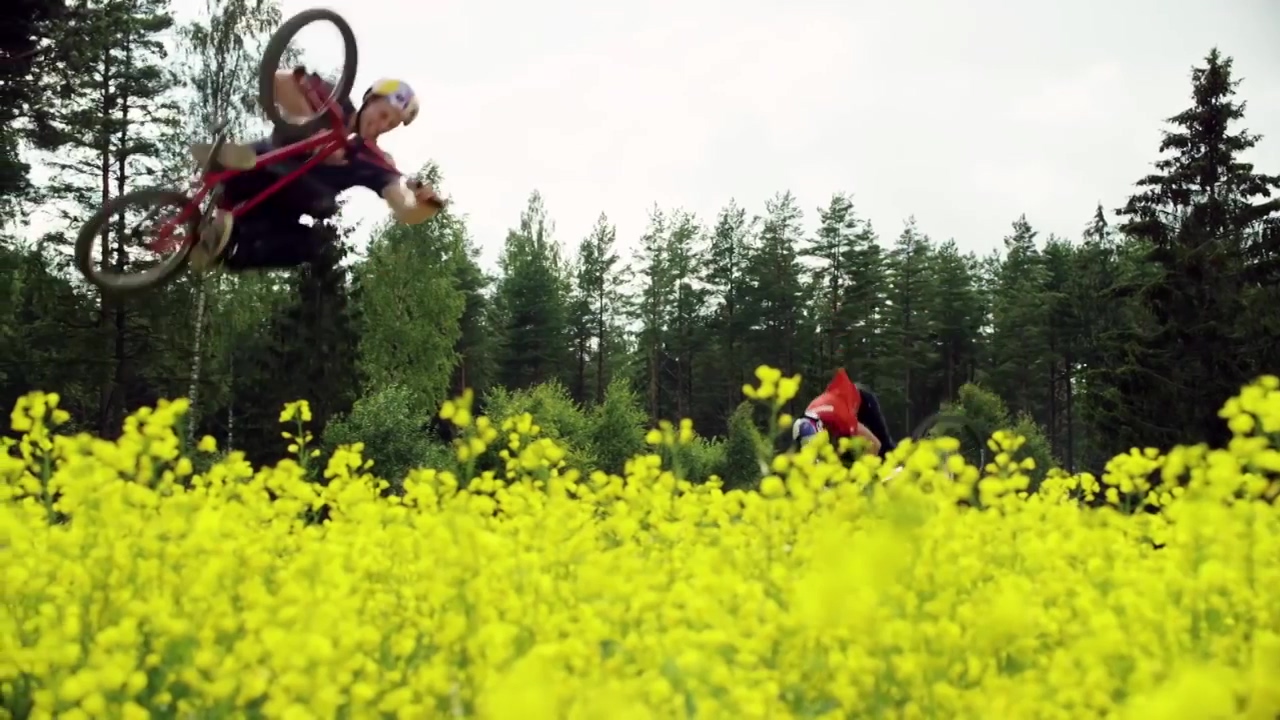 DUMPERT - Spring in het veld